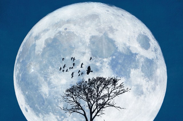 Full Moon Children's Behavior