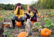 TIME For Kids Fall Harvest TIME For Kids Fall Harvest