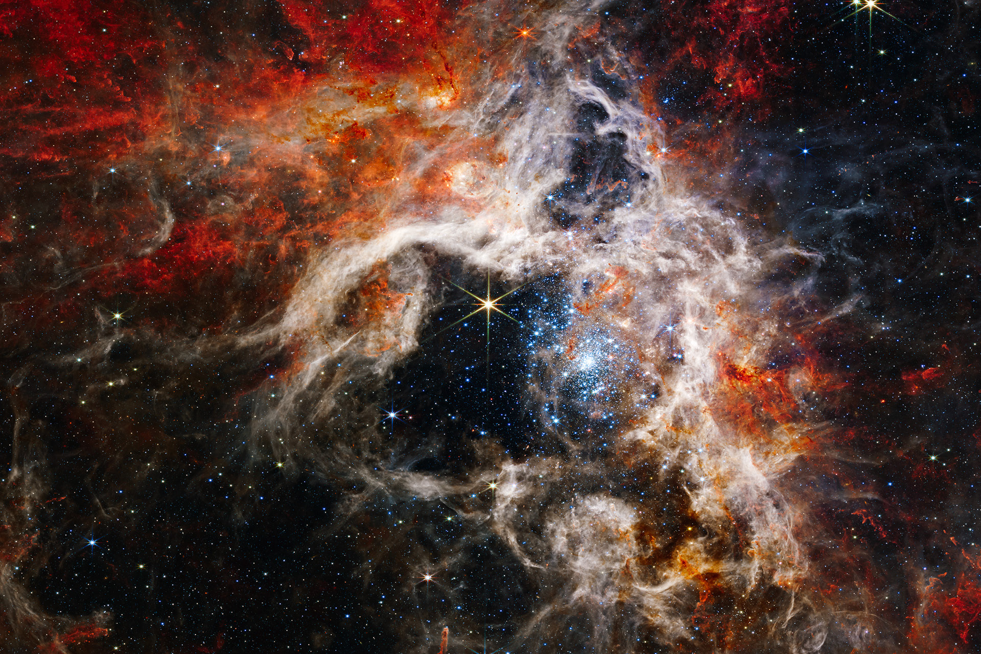 TIME for Kids | Spider Webb