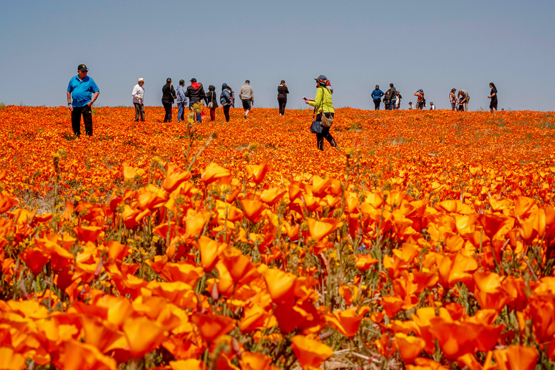 TIME for Kids | Full Bloom