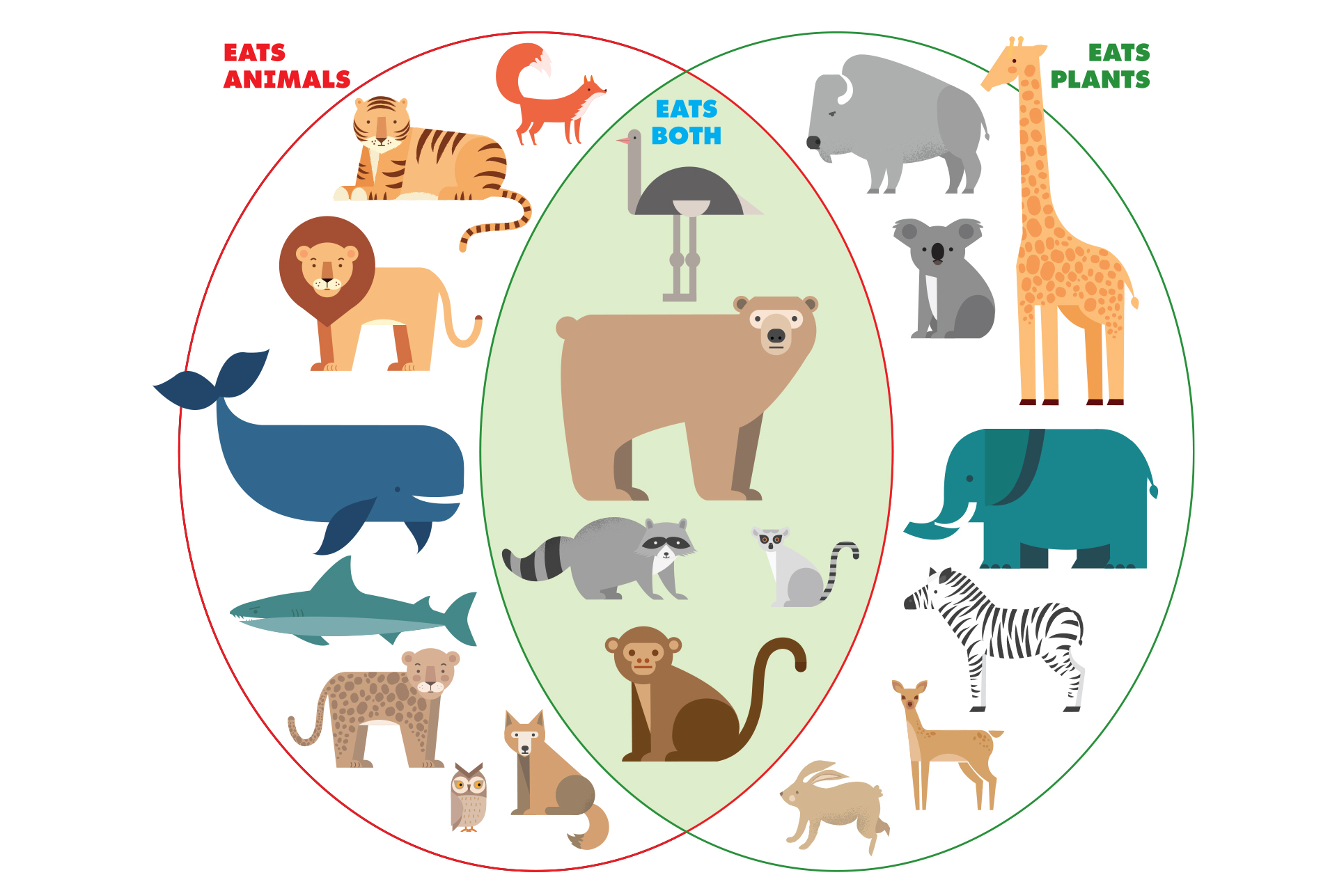 TIME for Kids | Who Eats What? | K-1