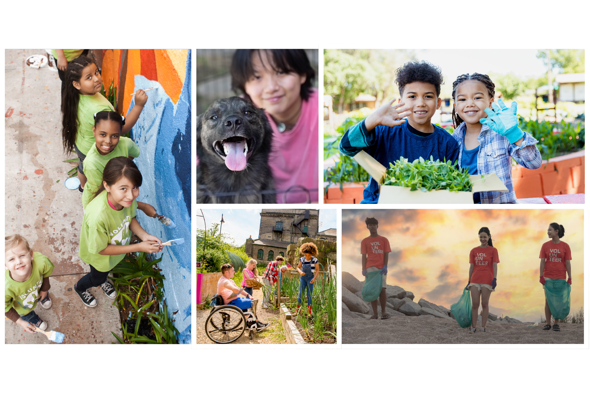 TIME for Kids | Help Animals | K-1